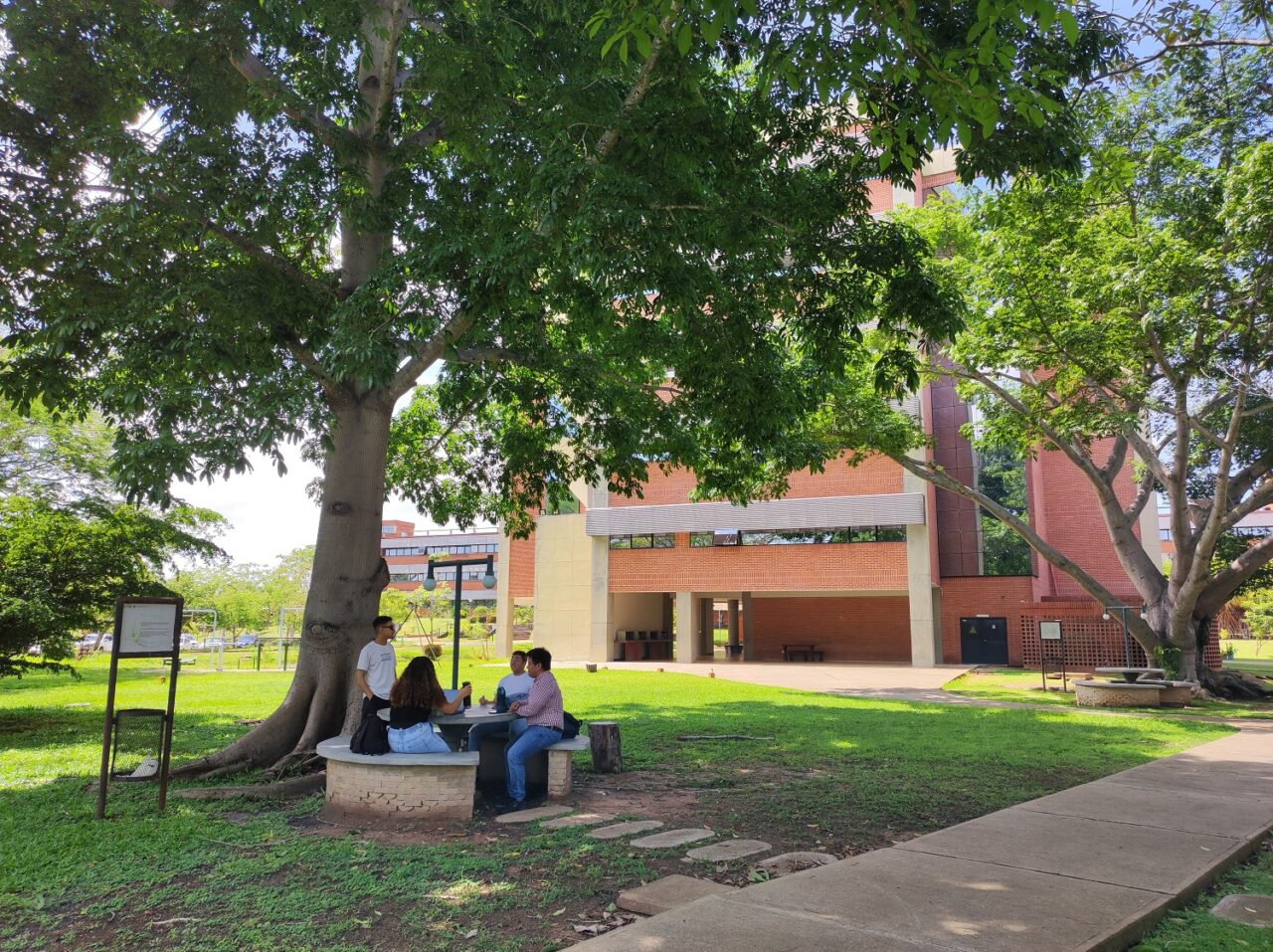 Universidad Católica Andrés Bello Sede Guayana • UCAB Guayana